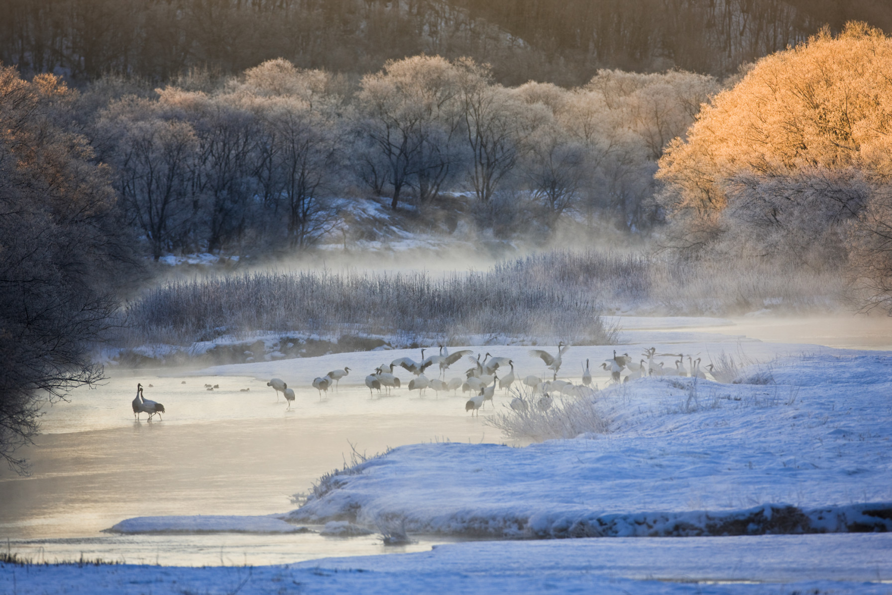 Japan: Hokkaido and Honshu